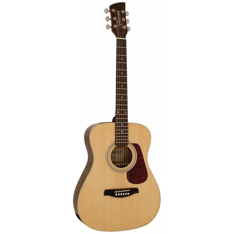 Brunswick BF-200 Acoustic | Frailers Guitar & Banjo ...